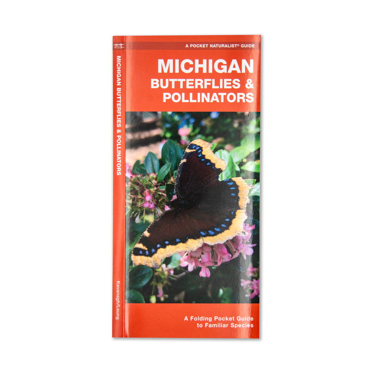 Michigan Butterflies & Pollinators Pocket Guide | Peninsulas